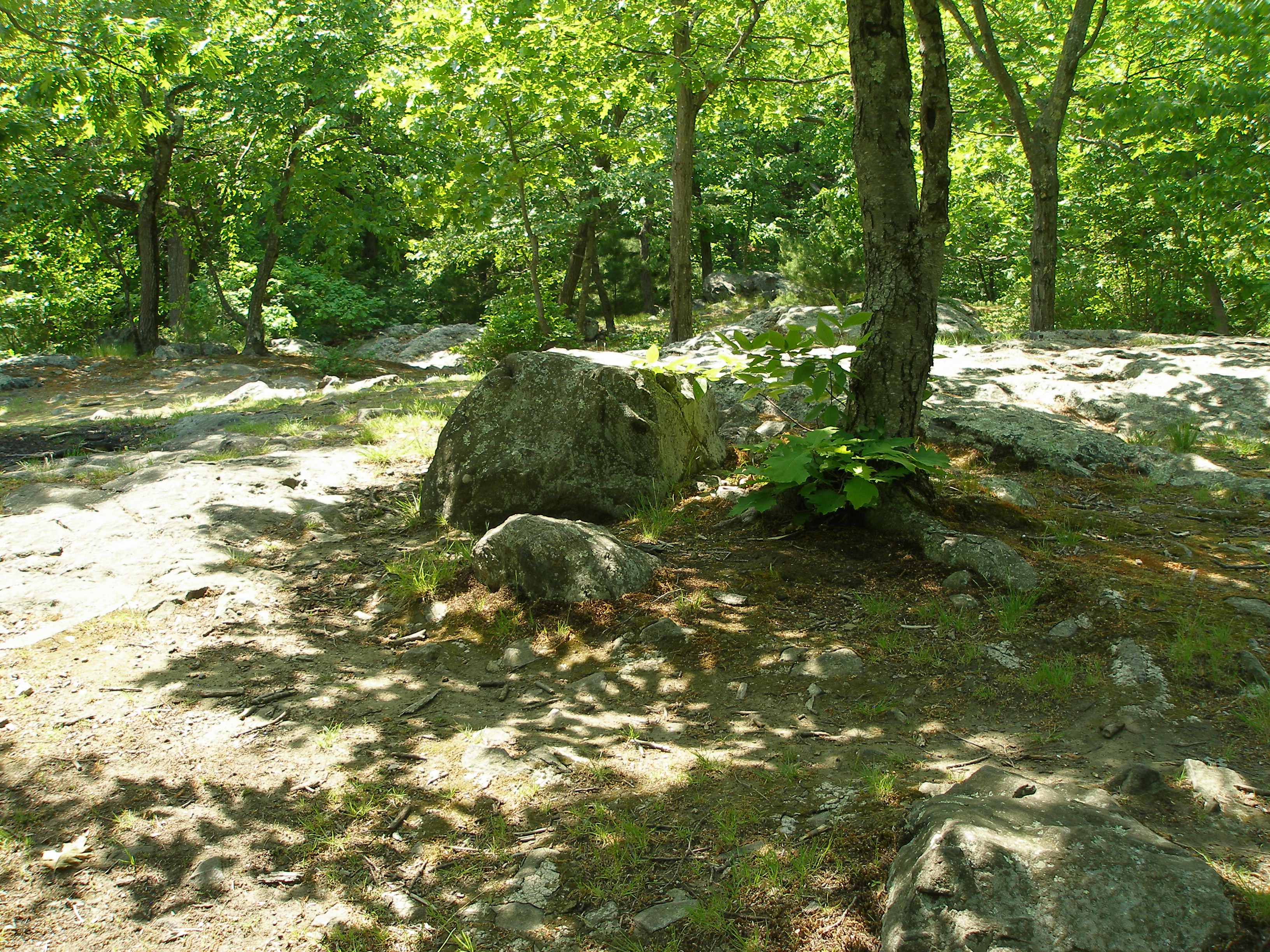 Rock Arrangements – Radiant Refuge