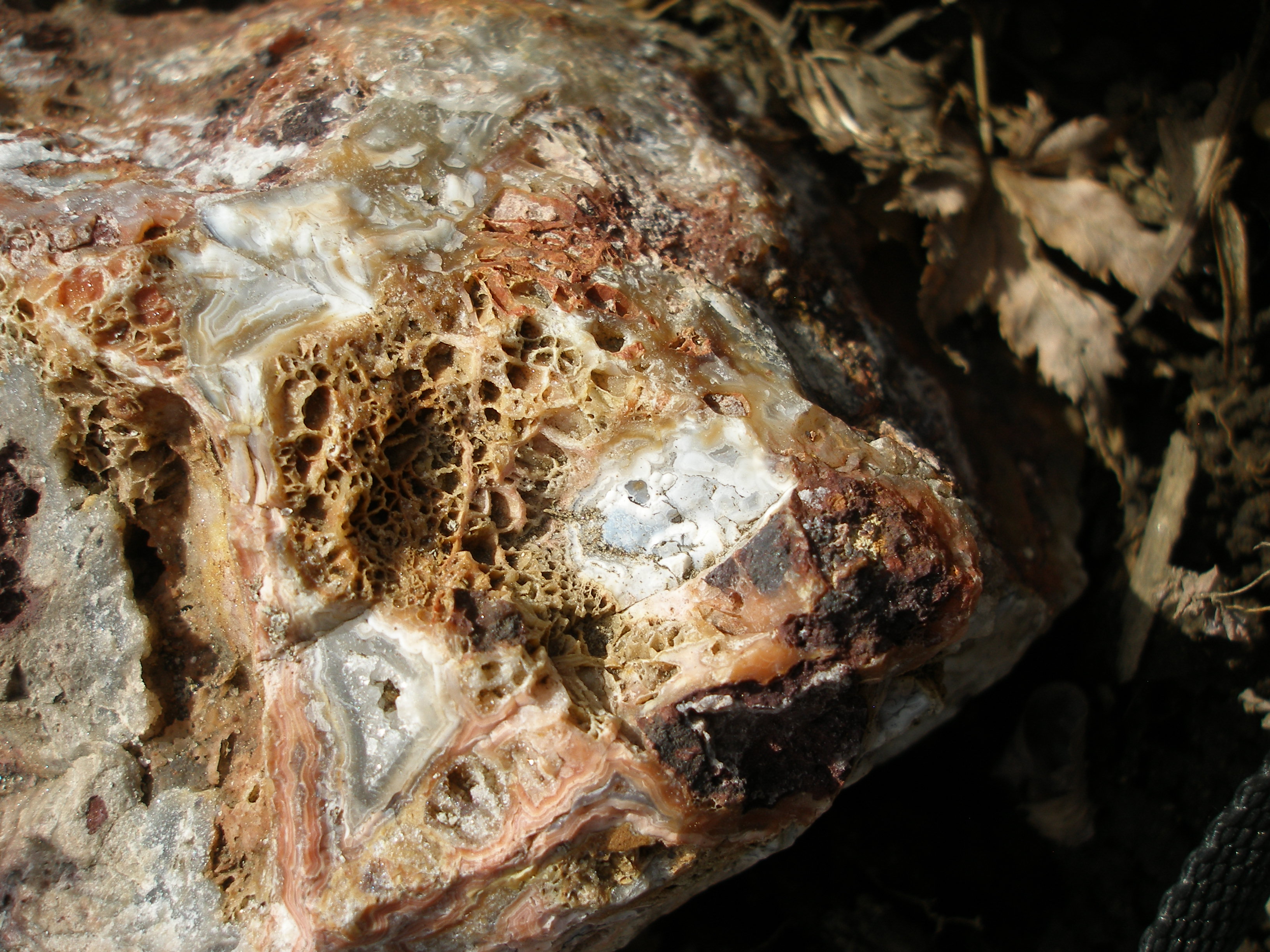 Treasure Hidden in Plain Sight – Radiant Refuge